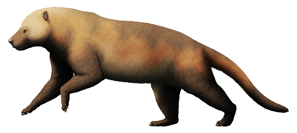 Lieran ground leopard (Liera) | Liera Wiki | Fandom