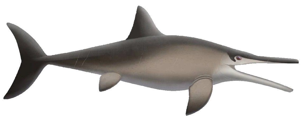 Fish reptile (Liera) | Liera Wiki | Fandom