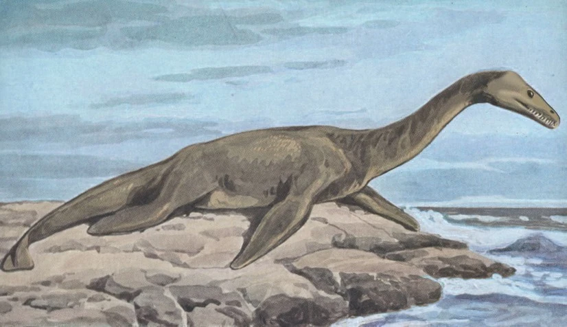 Cryptoclididae (Liera) | Liera Wiki | Fandom