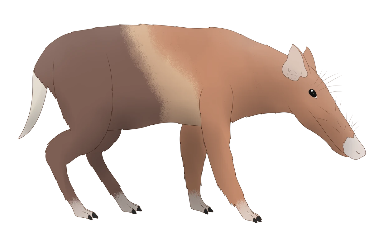 Northern false peccary (Liera) | Liera Wiki | Fandom