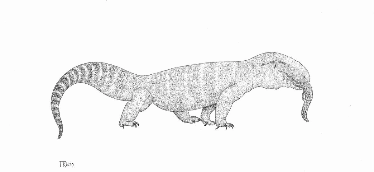 Giant beaded lizard (Liera) | Liera Wiki | Fandom