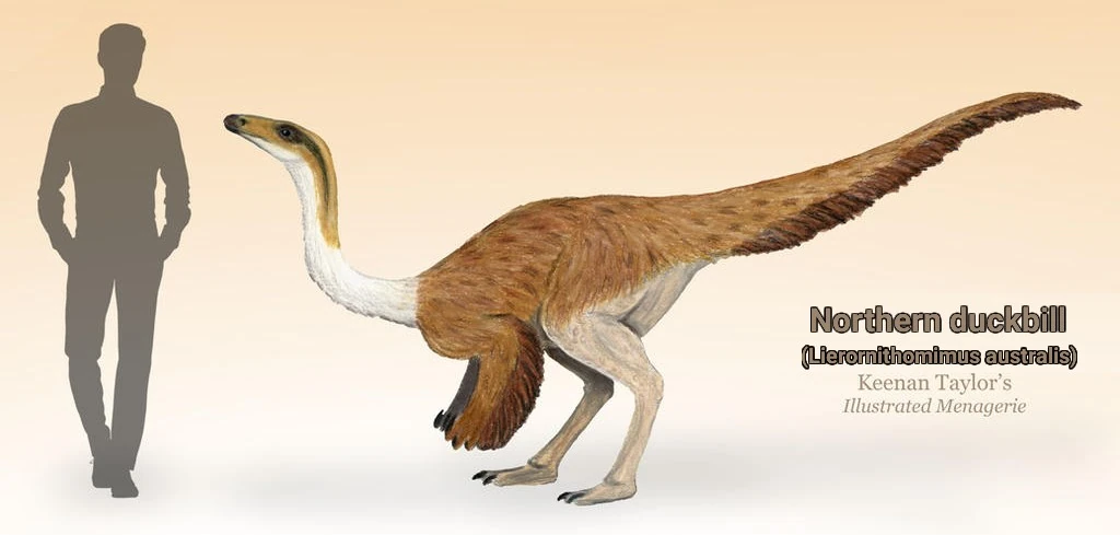 Ornithomimosauria (Liera) | Liera Wiki | Fandom