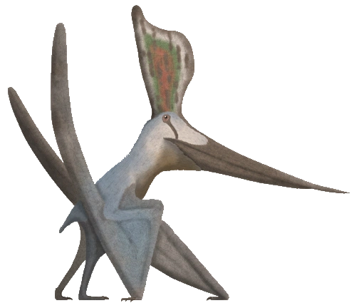 Category:Pterosaurs | Liera Wiki | Fandom
