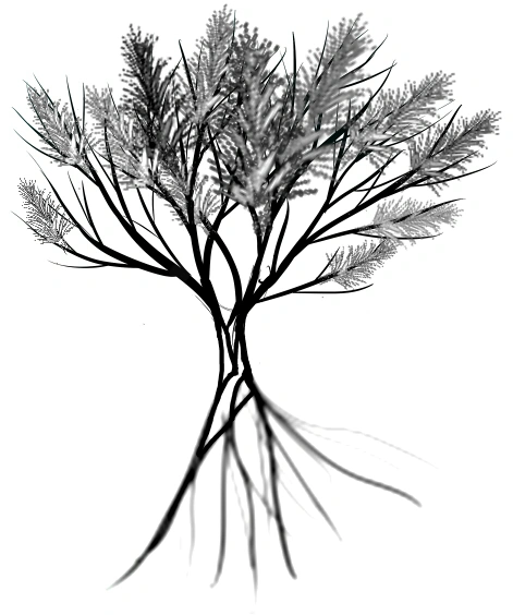 Sea tree (Liera) | Liera Wiki | Fandom