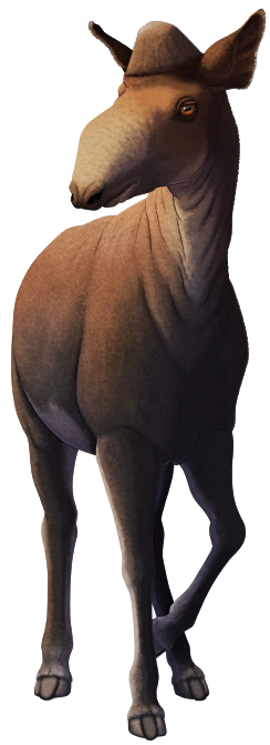 Palaeotheriidae (Liera) | Liera Wiki | Fandom