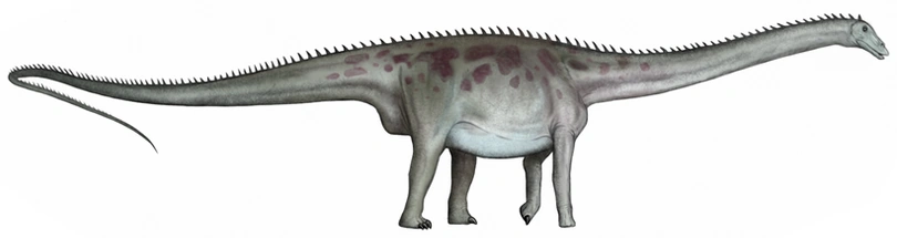 Insular wide-mouthed titan (Liera) | Liera Wiki | Fandom