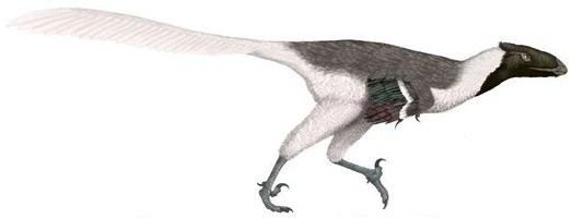 Tepua Island dwarf goblin (Liera) | Liera Wiki | Fandom