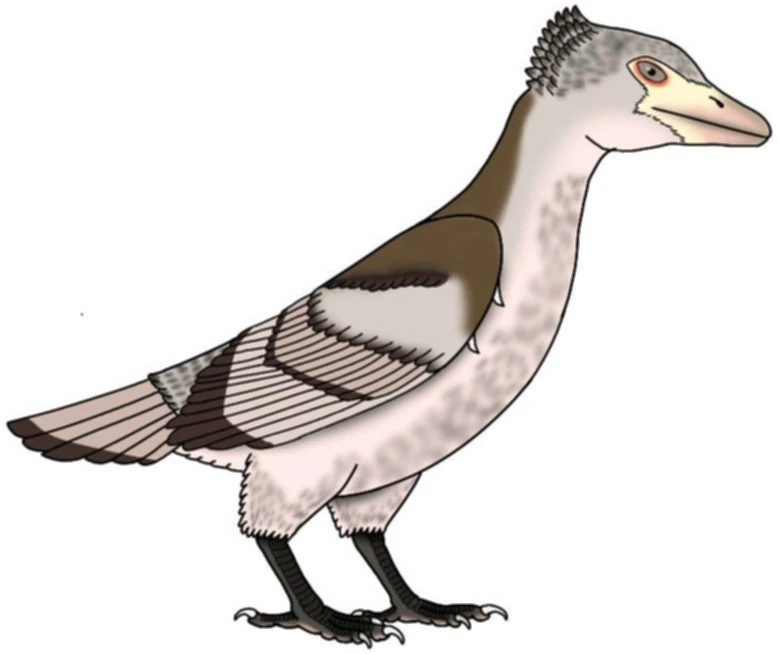 Category:Animals | Liera Wiki | Fandom