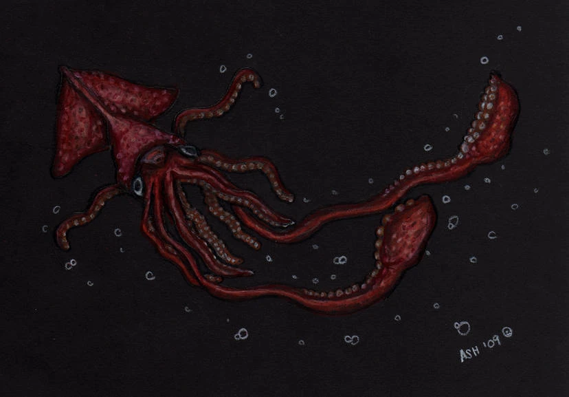 Great crimson king (Liera) | Liera Wiki | Fandom