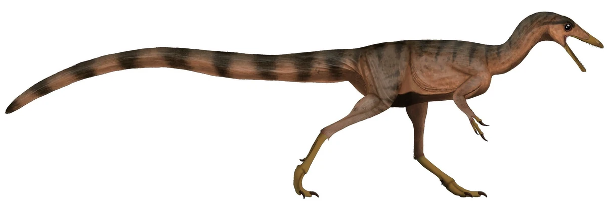 Compsognathidae (Liera) | Liera Wiki | Fandom