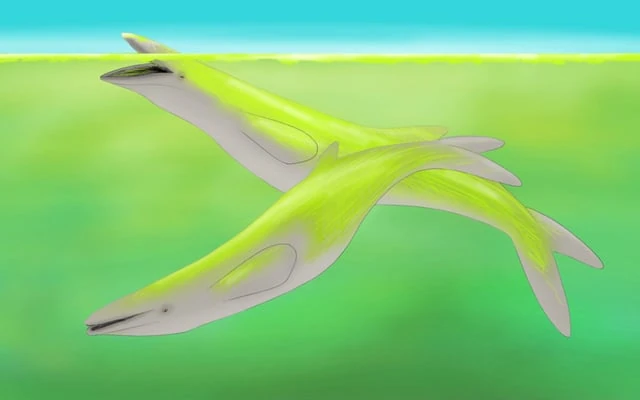 Lieran white whale (Liera) | Liera Wiki | Fandom