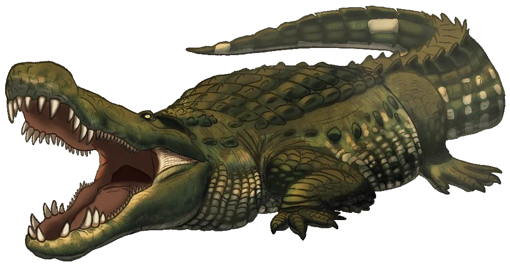 Goliath alligator (Liera) | Liera Wiki | Fandom