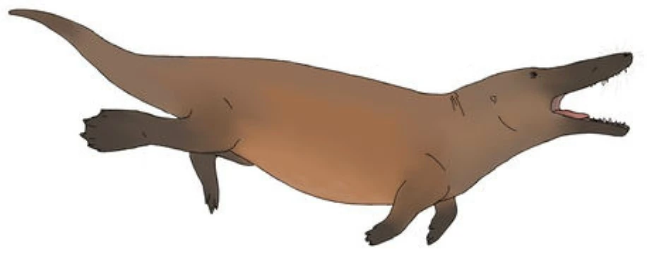 Northern dragon whale (Liera) | Liera Wiki | Fandom