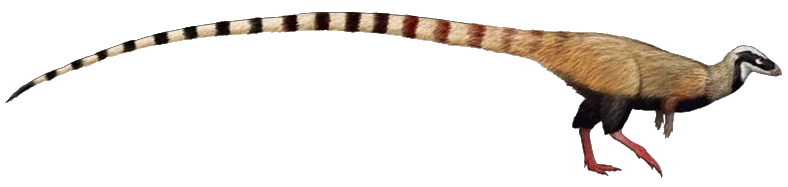 Monkey-tailed marebird (Liera) | Liera Wiki | Fandom