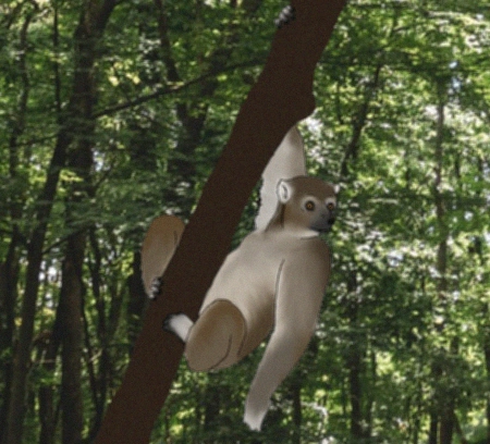 Tratrada (Liera) | Liera Wiki | Fandom