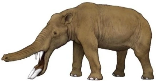 Swamp elephant (Liera) | Liera Wiki | Fandom