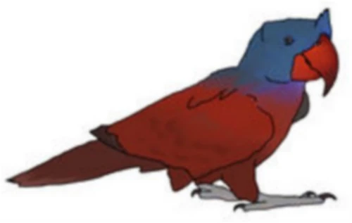 Curve-billed parrot (Liera) | Liera Wiki | Fandom