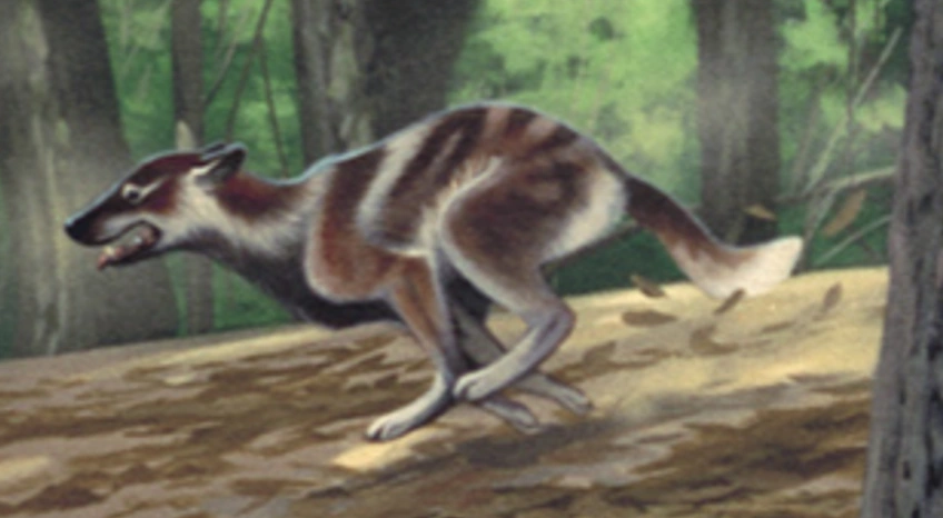 Tigan true dog (Liera) | Liera Wiki | Fandom