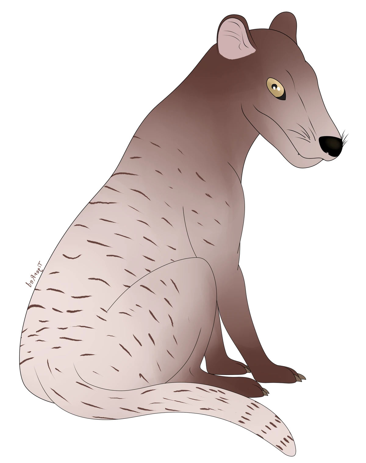 Allocanisodon (Liera) | Liera Wiki | Fandom