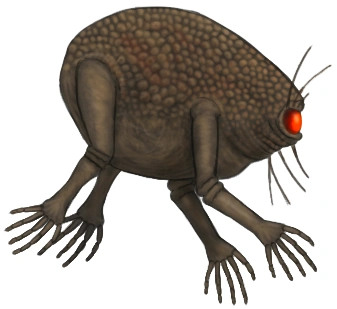 Uuumboorwa (Liera) | Liera Wiki | Fandom