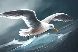 Tepua Island gull (Liera) | Liera Wiki | Fandom