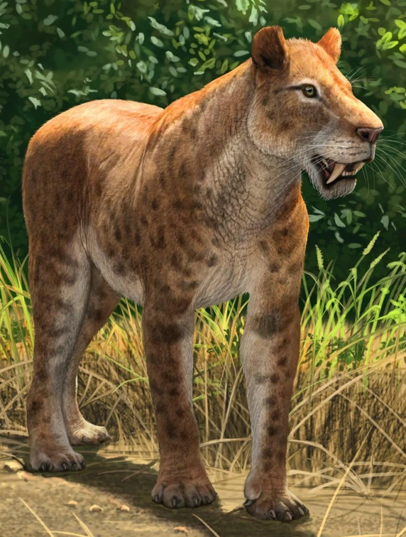 Hurukan (Liera) | Liera Wiki | Fandom