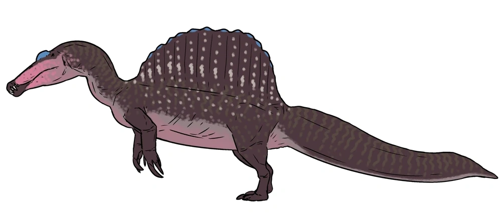 Tigaspinus (Liera) | Liera Wiki | Fandom