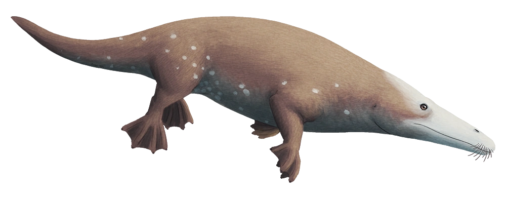 Great crocowhale (Liera) | Liera Wiki | Fandom