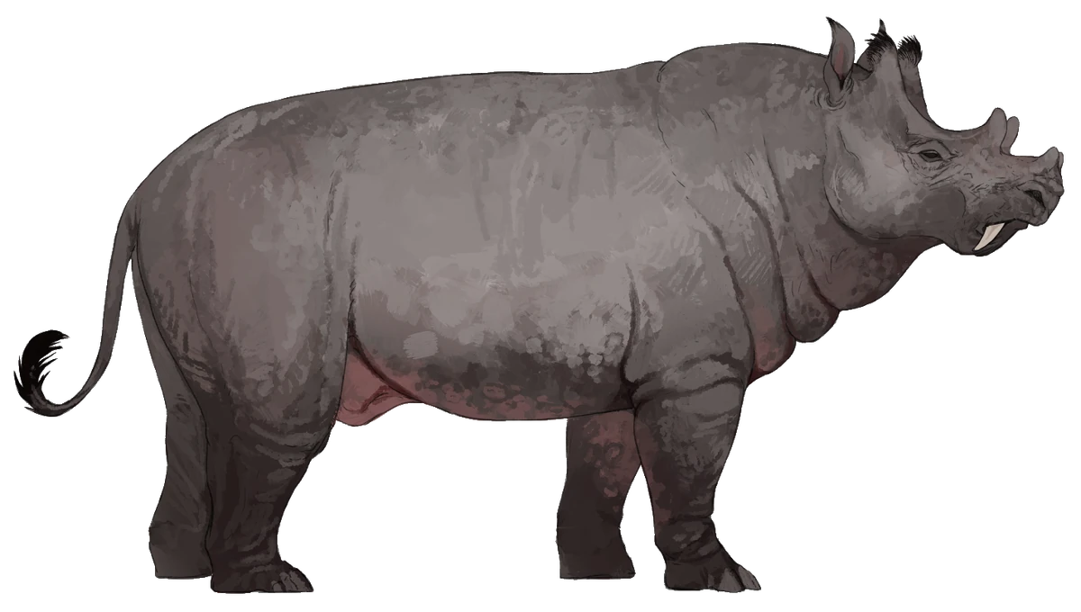 Gazorninplat (Liera) | Liera Wiki | Fandom