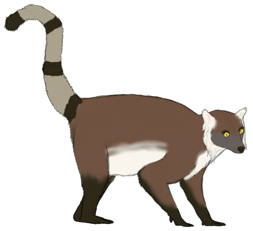 Lieran macaque lemur (Liera) | Liera Wiki | Fandom