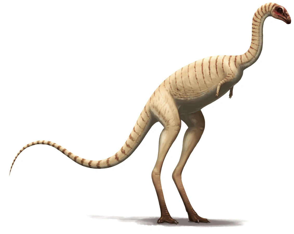 Common vegetarian wyrm (Liera) | Liera Wiki | Fandom