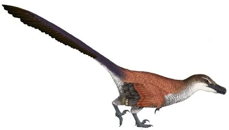 Common goblin (Liera) | Liera Wiki | Fandom