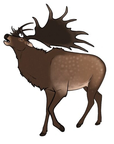 Cervidae (Liera) | Liera Wiki | Fandom