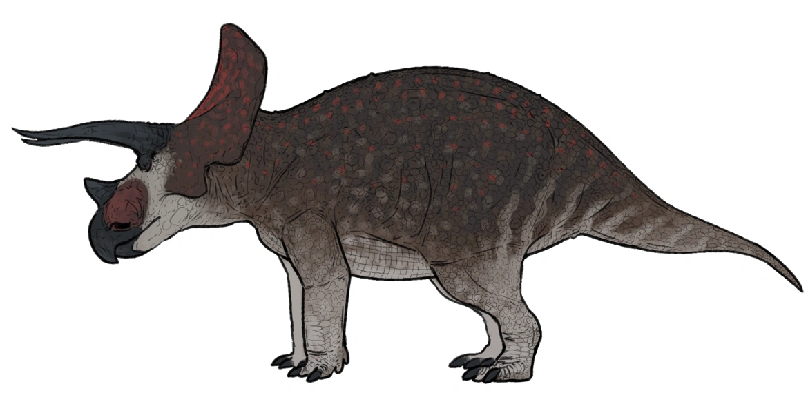 Triceratops lierensis (Liera) | Liera Wiki | Fandom