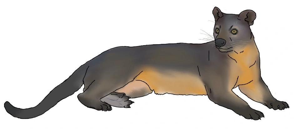 Great fossa (Liera) | Liera Wiki | Fandom