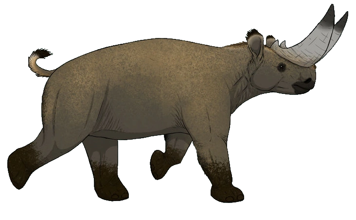 Tigan rhinoceros (Liera) | Liera Wiki | Fandom