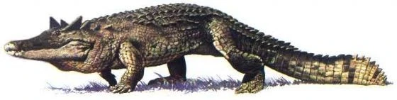 Horned alligator (Liera) | Liera Wiki | Fandom