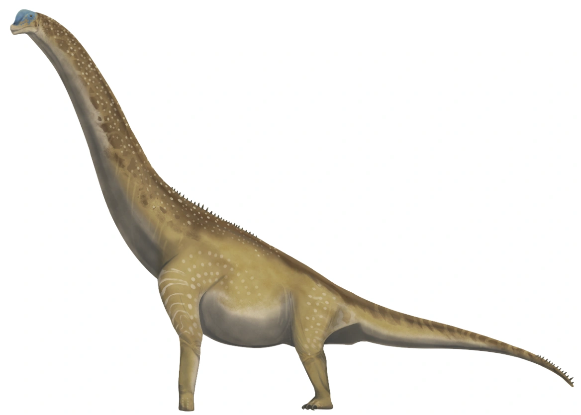 Brachiosauridae (Liera) | Liera Wiki | Fandom