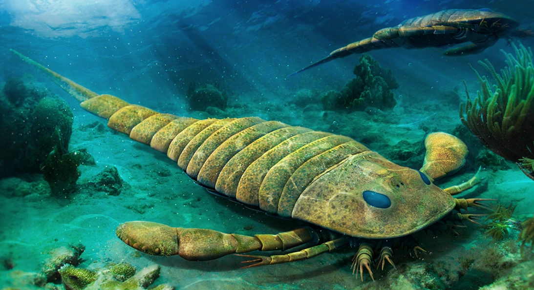 Bulb-finned sea scorpion (Liera) | Liera Wiki | Fandom