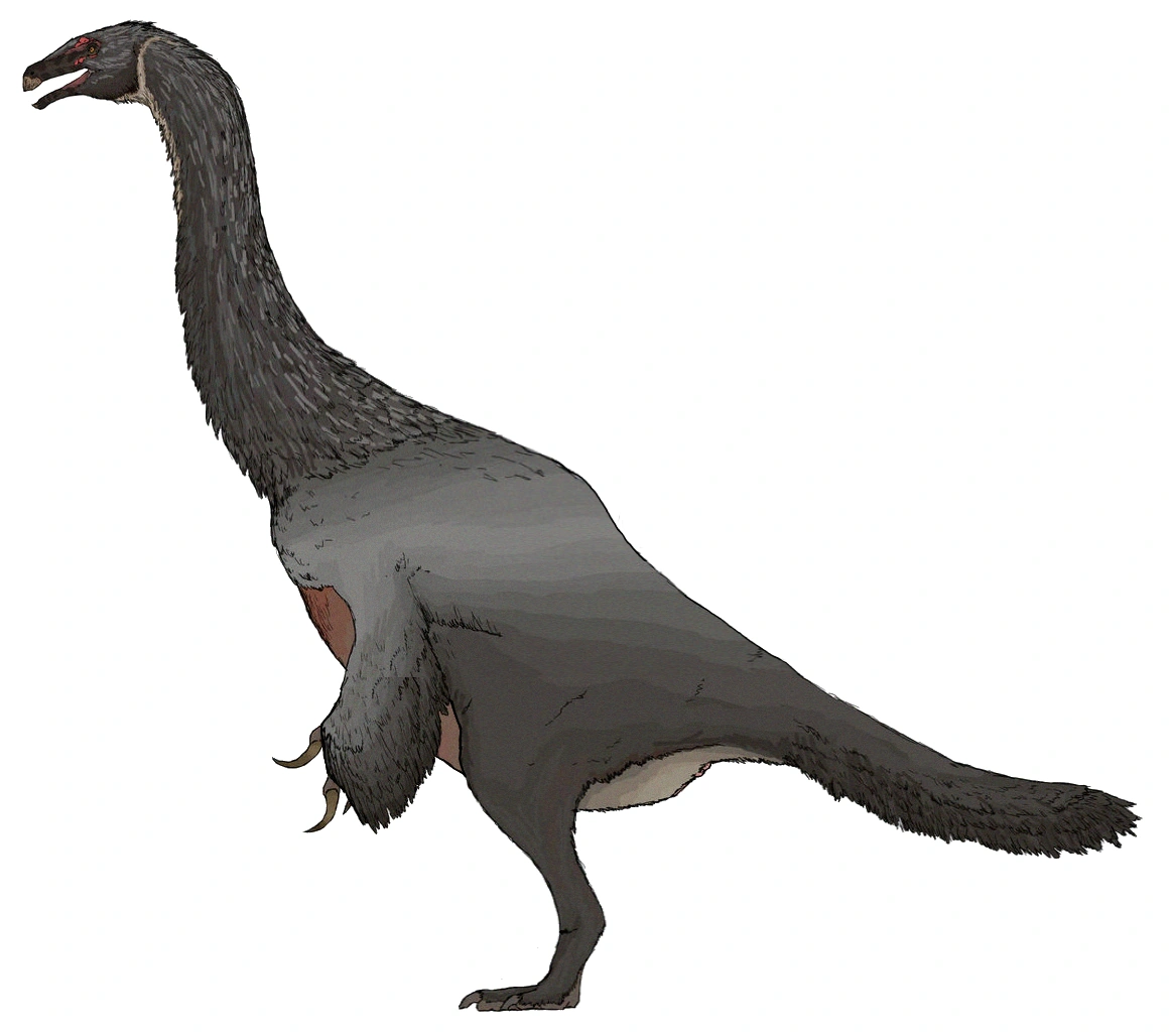 Therizinosauria (Liera) | Liera Wiki | Fandom