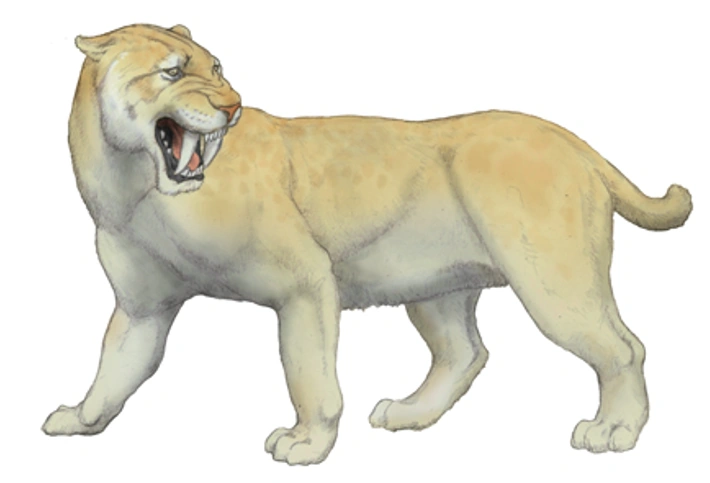 Forngrym (Liera) | Liera Wiki | Fandom