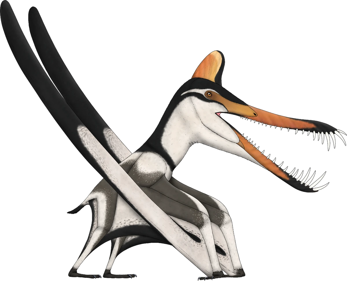 Piebald toothed griffin (Liera) | Liera Wiki | Fandom