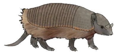 Horned armadillo (Liera) | Liera Wiki | Fandom