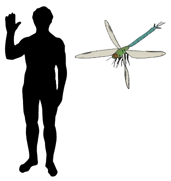 Insecta (Liera) | Liera Wiki | Fandom