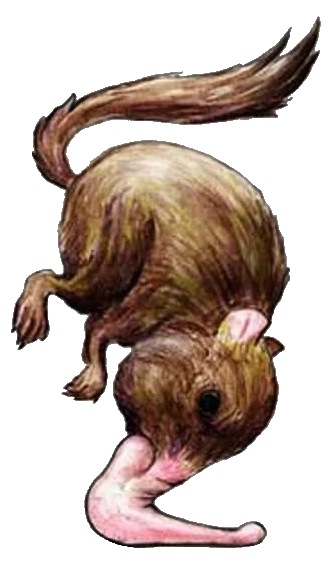 Rhinogradentia (Liera) | Liera Wiki | Fandom