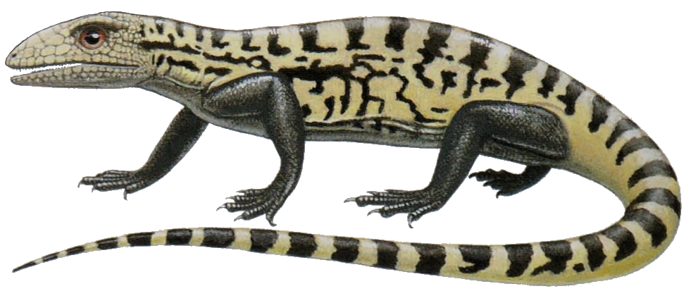 Lieran tegu (Liera) | Liera Wiki | Fandom