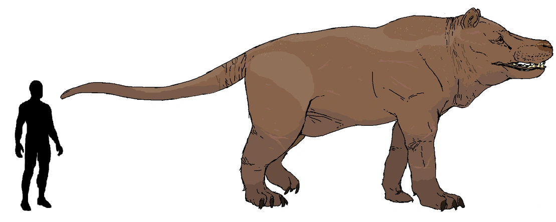 Ticaperry (Liera) | Liera Wiki | Fandom