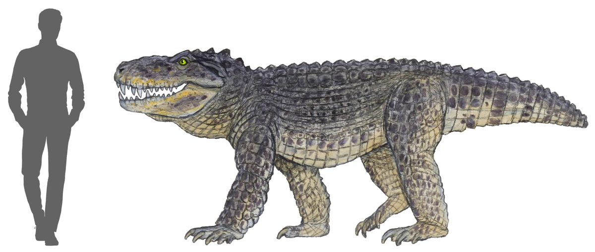 Notosuchia (Liera) | Liera Wiki | Fandom