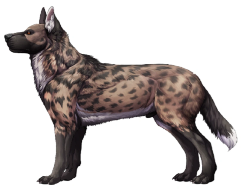 Jherr (Liera) | Liera Wiki | Fandom