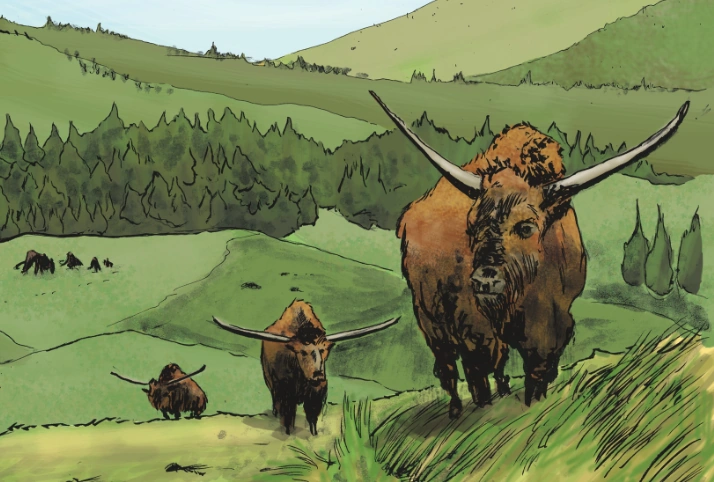 Burukku (Liera) | Liera Wiki | Fandom